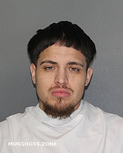 RAMIREZ DANIEL 02/12/2025 - Ellis County Mugshots Zone