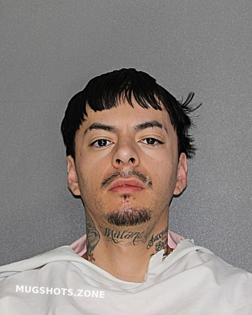GONZALEZ DANIEL 02/15/2025 - Ellis County Mugshots Zone