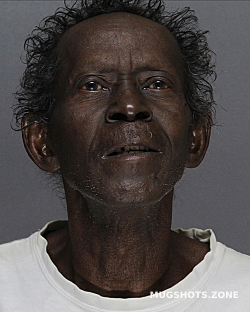 RICHARDSON BENNY RAY 02/22/2025 - Ellis County Mugshots Zone