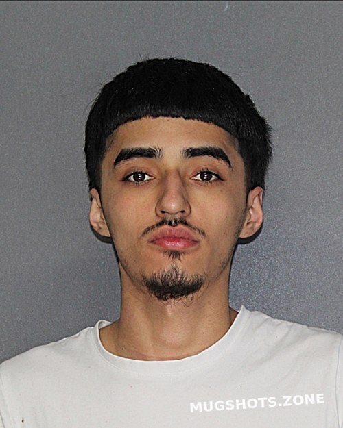 JAQUEZ NICHOLAS ANTHONY 03/07/2025 - Ellis County Mugshots Zone
