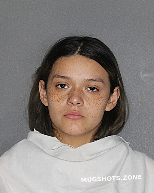 MORENO CHLOE 03/07/2025 - Ellis County Mugshots Zone