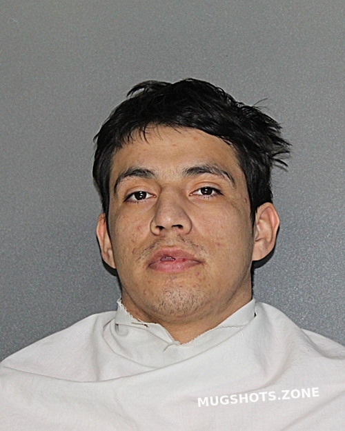 RECENDIZ MODESTO 03/12/2025 - Ellis County Mugshots Zone