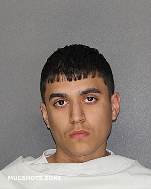 CASTANEDA DEVIN 03/16/2025 - Ellis County Mugshots Zone
