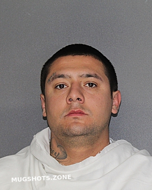 BOYDSTUN LARRY STEVEN 03/22/2025 - Ellis County Mugshots Zone