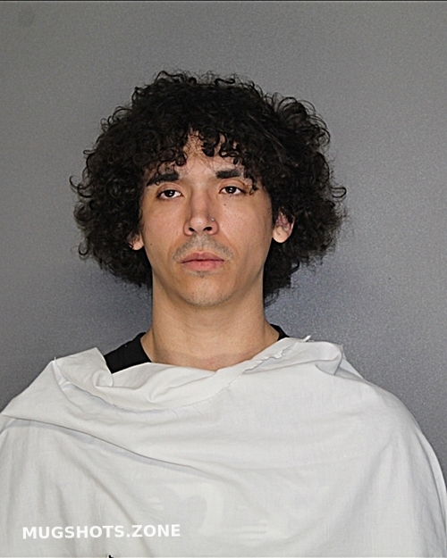 HOLLENBACK KYLE AUSTIN 04/01/2025 - Ellis County Mugshots Zone