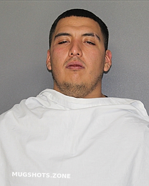 ZUNIGA GABRIEL AURELIO 04/06/2025 - Ellis County Mugshots Zone