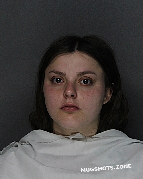 SMALL HALEY MARIE 04/07/2025 - Ellis County Mugshots Zone