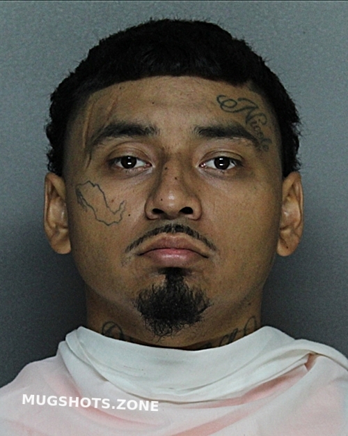 LANDEROS ERIK 04/08/2025 - Ellis County Mugshots Zone