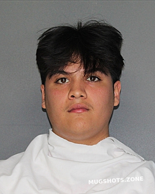 CISNEROS ANTHONY JEREMIAH 04/09/2025 - Ellis County Mugshots Zone