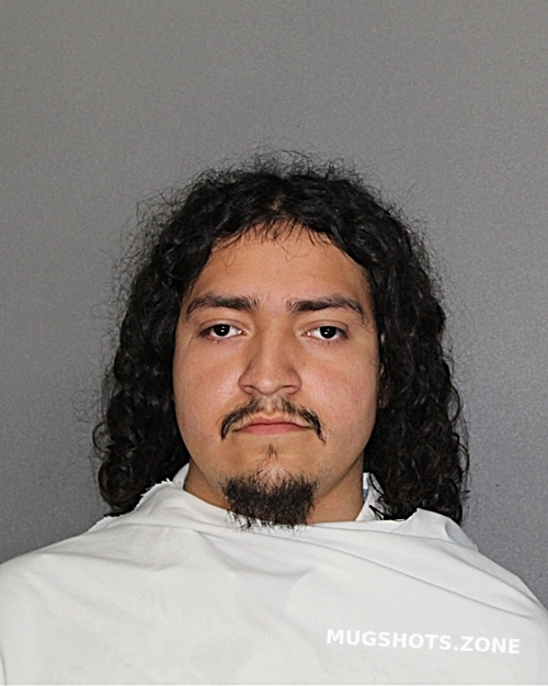 ALDACO FRANCISCO JR 04/21/2025 - Ellis County Mugshots Zone