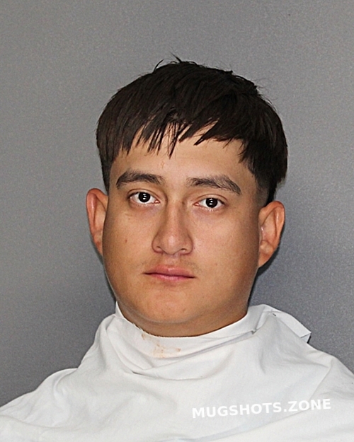 MONREAL MATTHEW CAINE 05/03/2025 - Ellis County Mugshots Zone