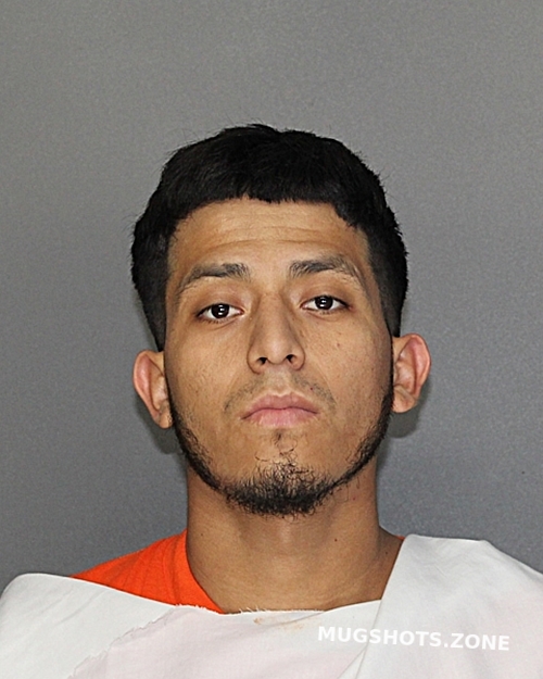 JAPON-MASACHE MARIO YASMANY 05/07/2025 - Ellis County Mugshots Zone