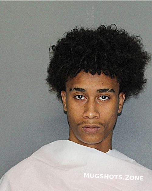 SHEARS GEVONI JAMES 06/03/2025 - Ellis County Mugshots Zone