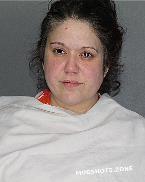 COOK JENNIFER NICOLE 06/17/2025 - Ellis County Mugshots Zone