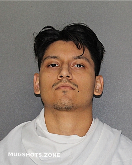 TORRES ABEL VALENTE 06/20/2025 - Ellis County Mugshots Zone