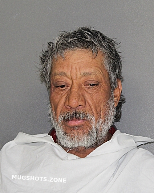 TORRES ANTONIO VEGA 11/20/2025 - Ellis County Mugshots Zone