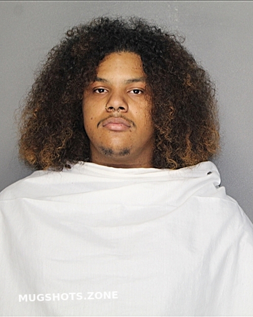 PISENO ANTHONY MAURICE 11/30/2025 - Ellis County Mugshots Zone