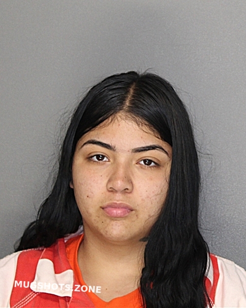FIGUEROA IRIS MIREYA 12/26/2025 - Ellis County Mugshots Zone