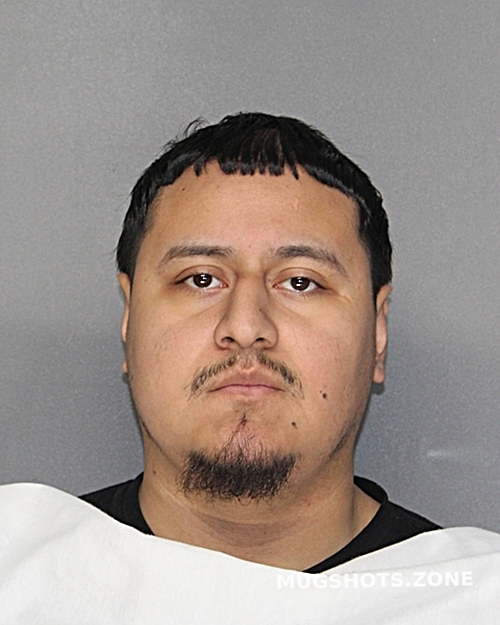 RAMIREZ GABRIEL JUNIOR 01/12/2026 - Ellis County Mugshots Zone