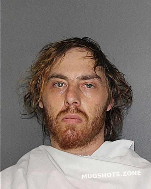 LEE CALEB NATHANIEL 01/16/2026 - Ellis County Mugshots Zone