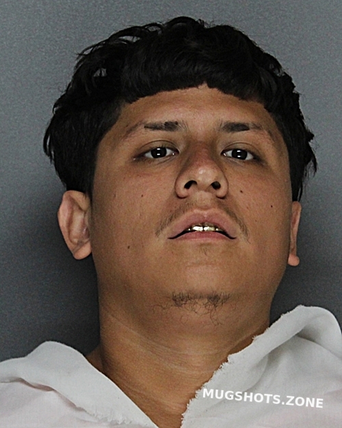 SARMIENTO DYLAN BRANDON 01/20/2026 - Ellis County Mugshots Zone