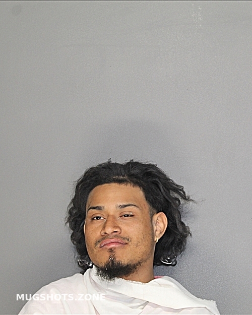 HERNANDEZ DAVID VARELA 01/29/2026 - Ellis County Mugshots Zone