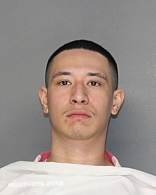 GARZA RAMIREZ FELIX ASAEL 02/08/2026 - Ellis County Mugshots Zone