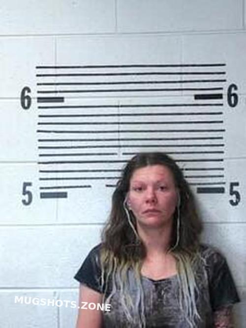 BRANDI SHOWS 01/14/2023 - Elmore County Mugshots Zone