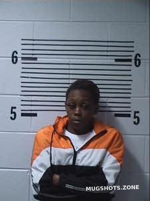 ALEXIS LIGHTFOOT 09/03/2023 - Elmore County Mugshots Zone