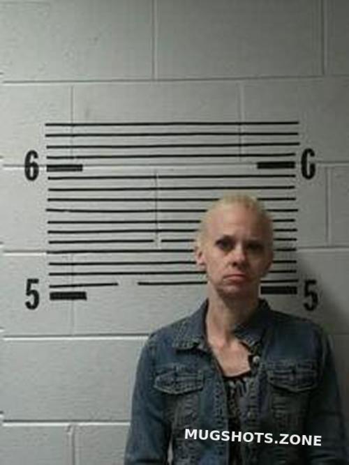 JESSICA HAMPTON 02/07/2024 - Elmore County Mugshots Zone