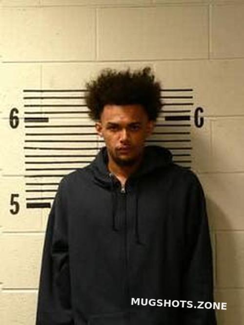 NICOLAS PATTILLO 02/28/2024 - Elmore County Mugshots Zone