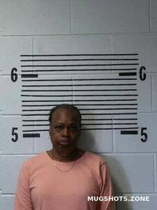 WANDA LEWIS 04/19/2024 - Elmore County Mugshots Zone