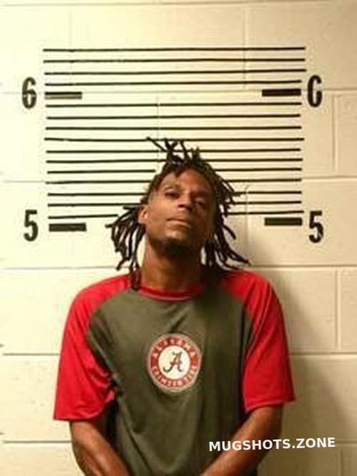 PATRICK PASCHAL 05/24/2024 - Elmore County Mugshots Zone