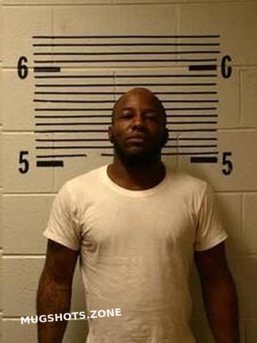 TEVIN MARTIN 07/11/2024 - Elmore County Mugshots Zone