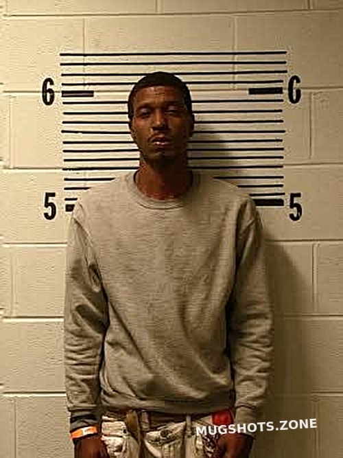 CHAMBERS MARSHUN 11/22/2024 - Elmore County Mugshots Zone