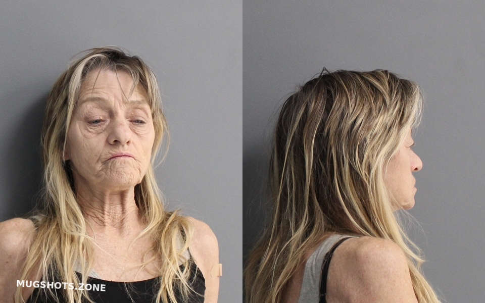 HAY JUDY ANN 11/17/2022 - Erath County Mugshots Zone