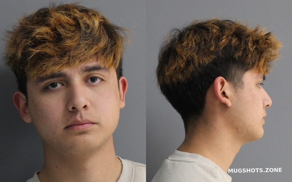 ANGEL-OLALDE LUIS FERNANDO 01/12/2024 - Erath County Mugshots Zone