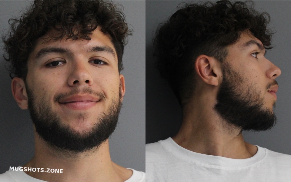 IVY DALE EMMANUEL 04/26/2024 - Erath County Mugshots Zone