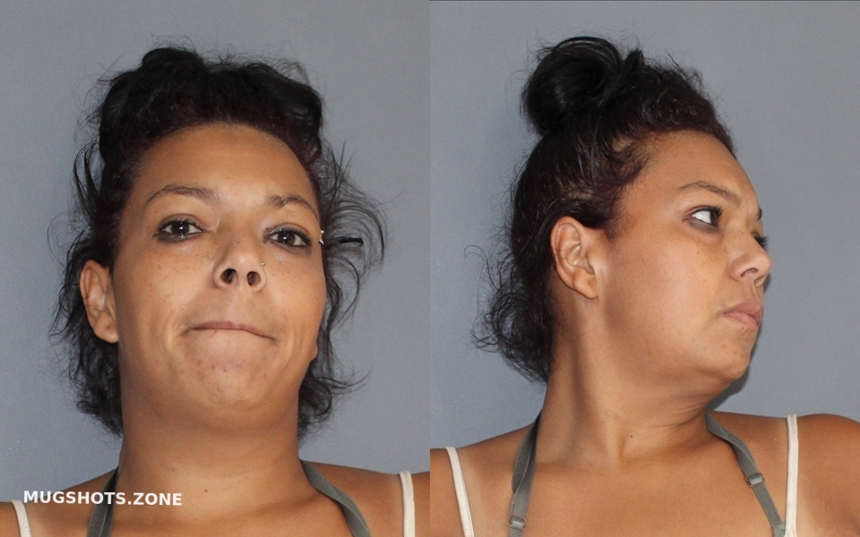VILLALOUOS ELIZABETH 10/22/2024 - Erath County Mugshots Zone