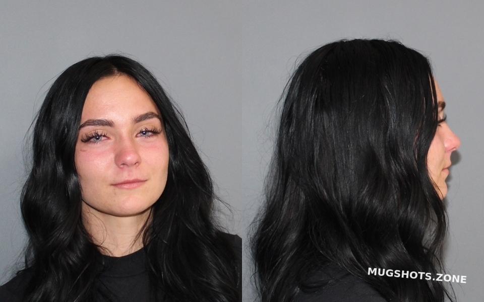 LEVITSKY ANDI 11/16/2024 - Erath County Mugshots Zone