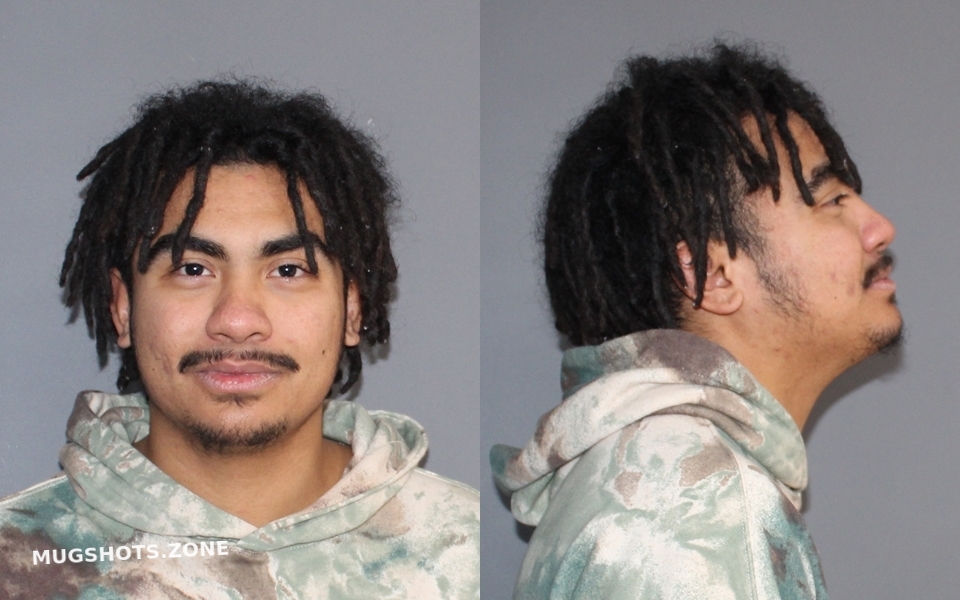 WILLIAMS DESHAWN ALEXANDER 01/29/2025 - Erath County Mugshots Zone