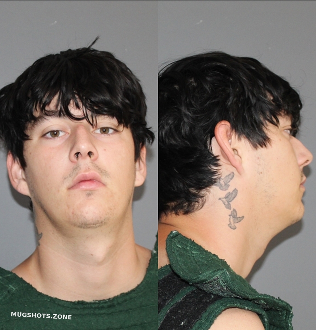 WILLIAMS TANNER LEE 06/22/2025 - Erath County Mugshots Zone