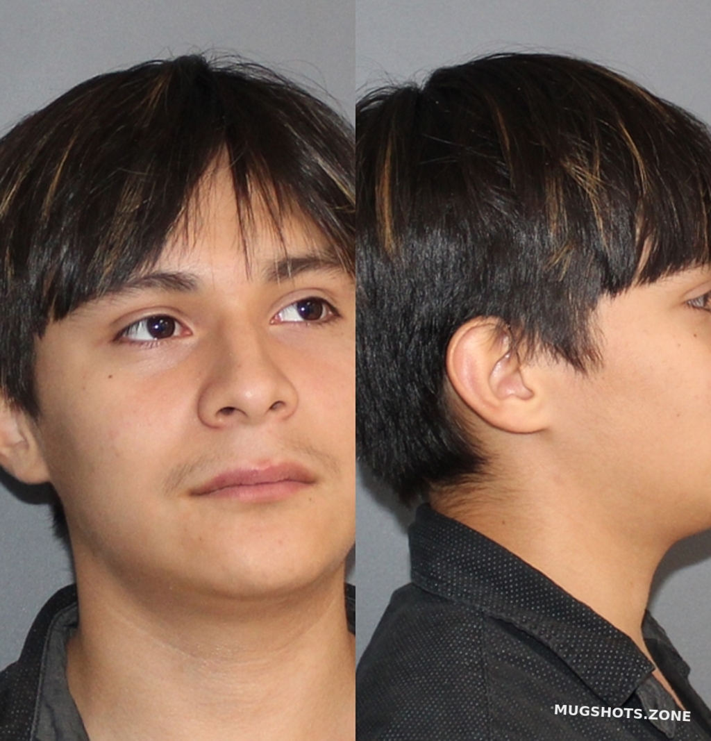 INFANTE EMILIO JOEL 07/04/2025 - Erath County Mugshots Zone