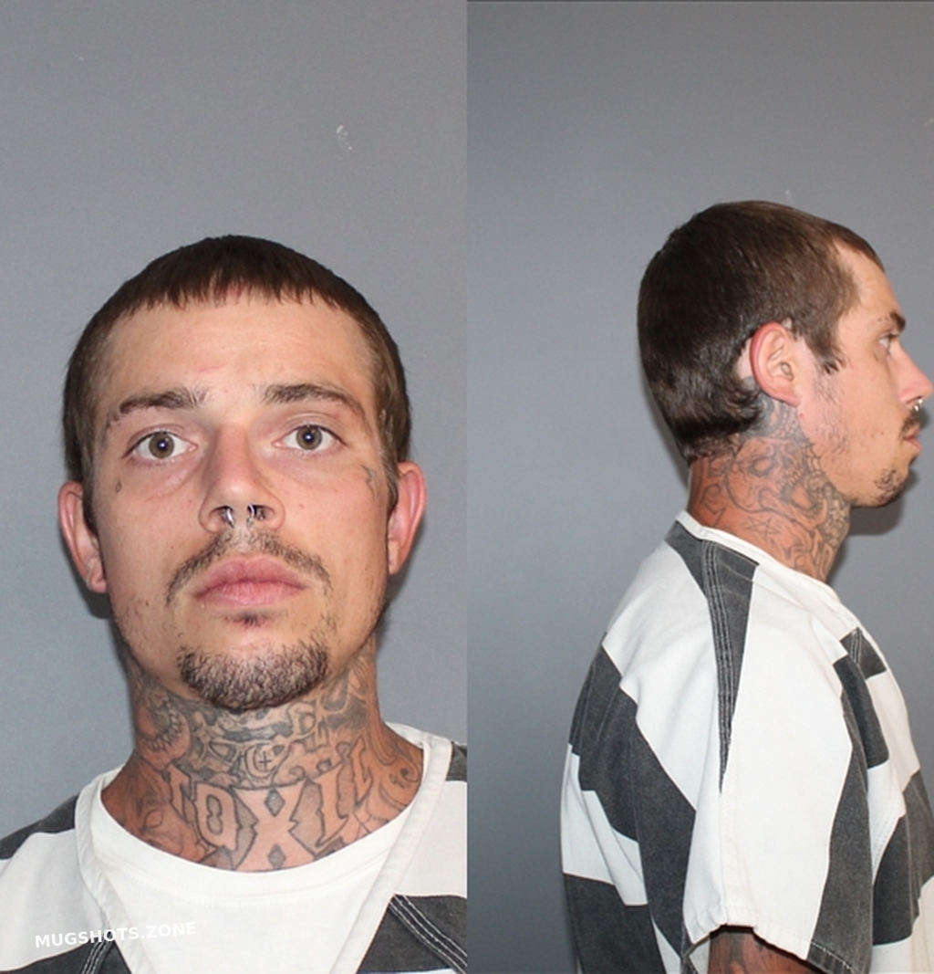 VIVIAN BRENDON MICHAEL 07/18/2025 - Erath County Mugshots Zone