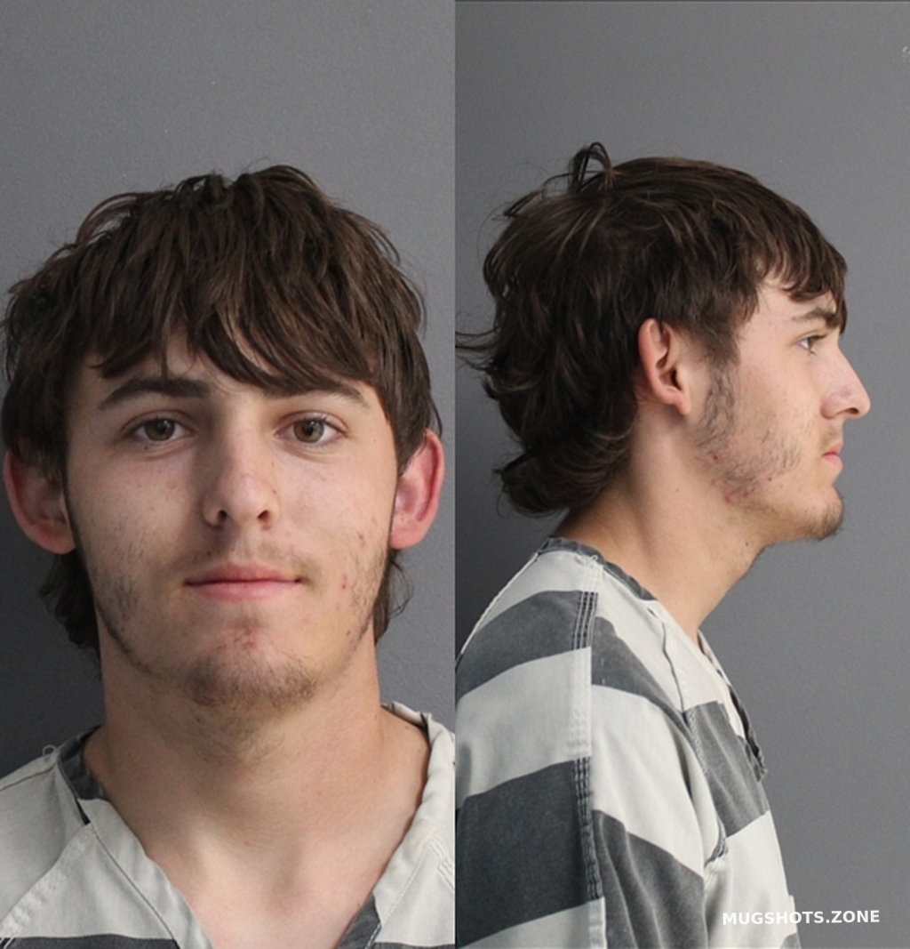 SEARS SEAN ALEXANDER 10/24/2025 - Erath County Mugshots Zone
