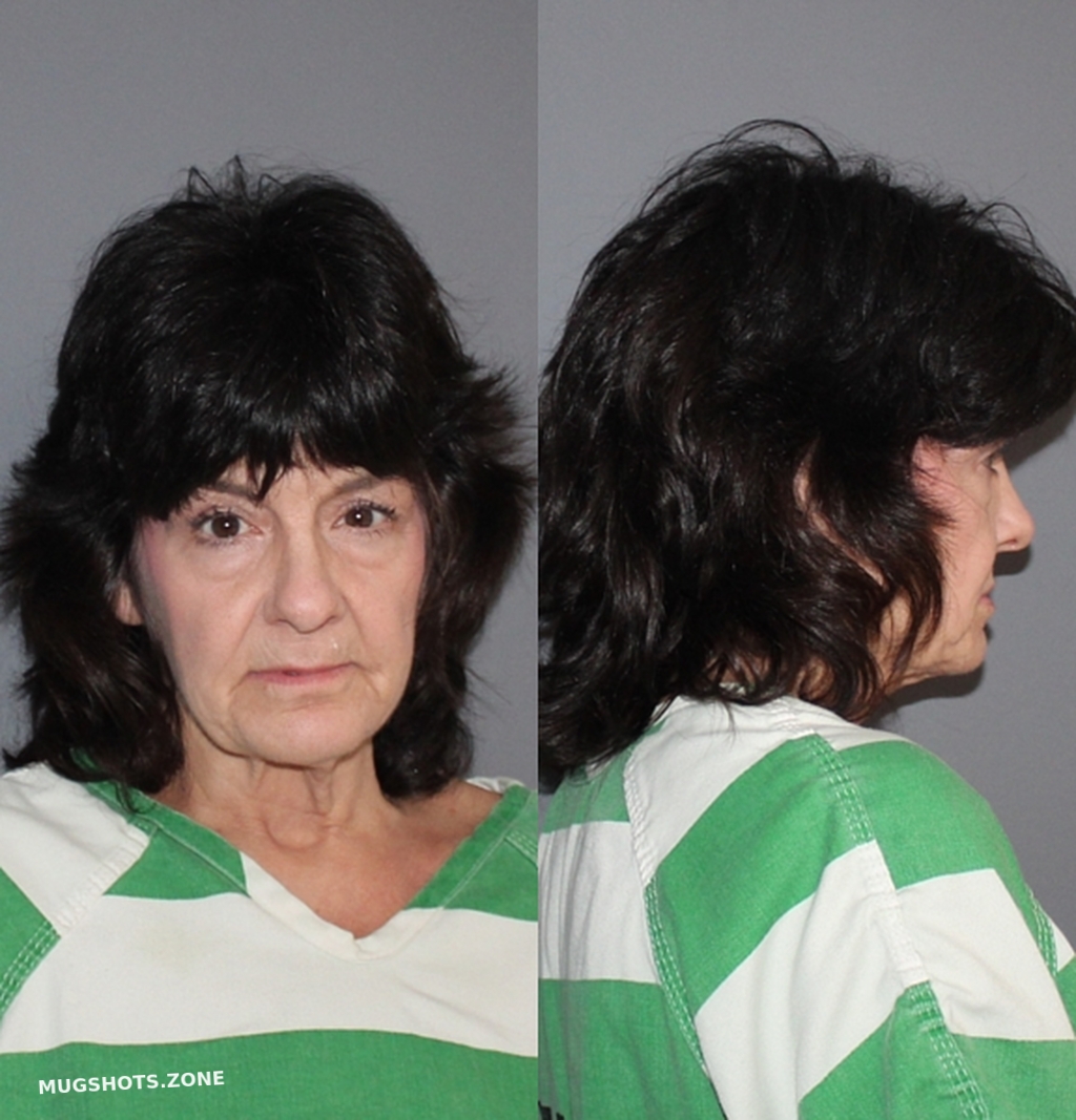 DORSEY JILL ANN 01/22/2026 - Erath County Mugshots Zone