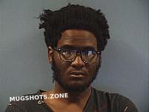 MITCHELL JR ROBERT LESTER 11/15/2024 - Erie County Mugshots Zone