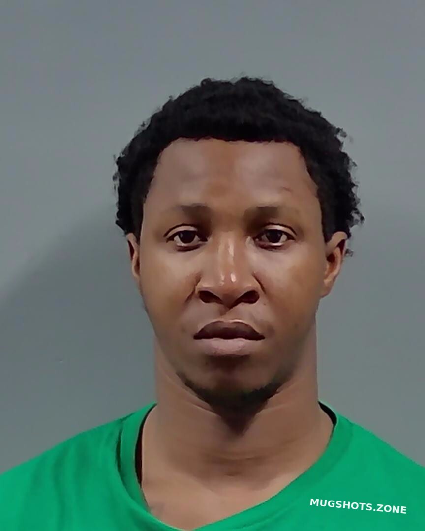 WIGGINS ELLIE 02/16/2025 - Escambia County Mugshots Zone