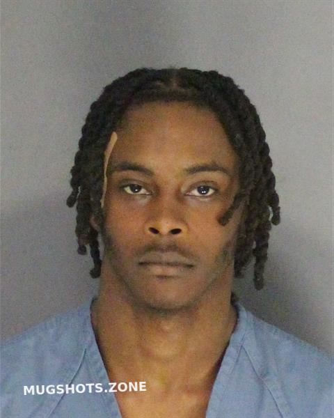 TIMOTHEE BRUNEL 07/08/2024 - Essex County Mugshots Zone