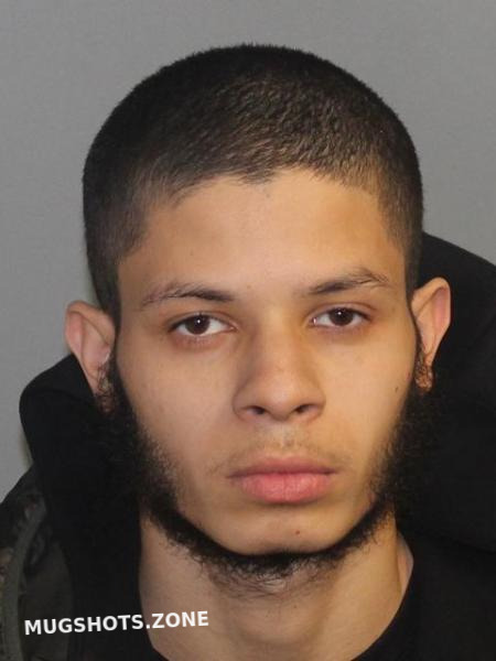 NEGRON DEVIN 01/18/2025 - Essex County Mugshots Zone